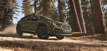 Financing a Subaru | Subaru Motors Finance